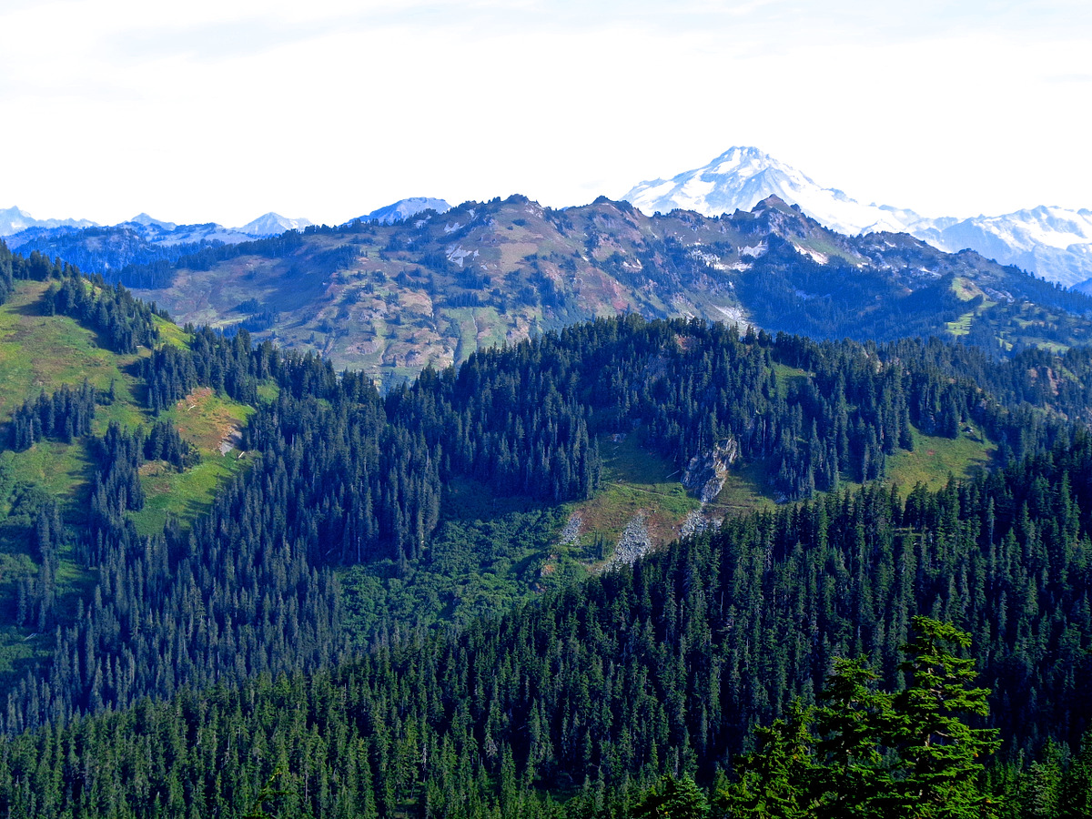 PCT Trail Section K Washington – Natural Atlas