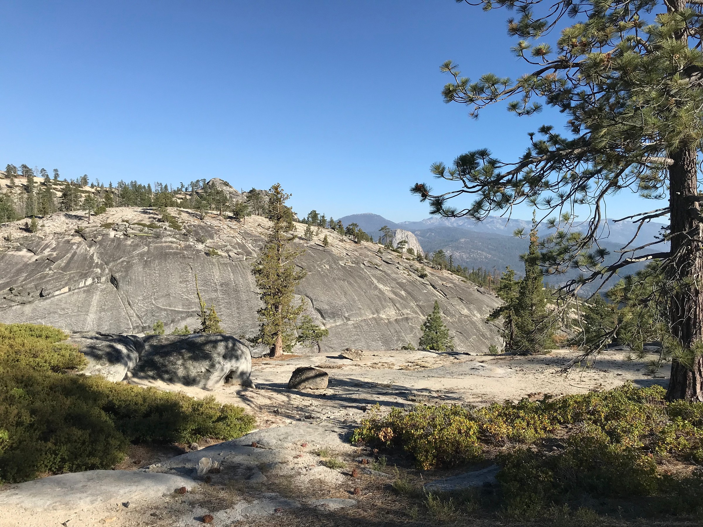 Cassidy Trailhead | Natural Atlas