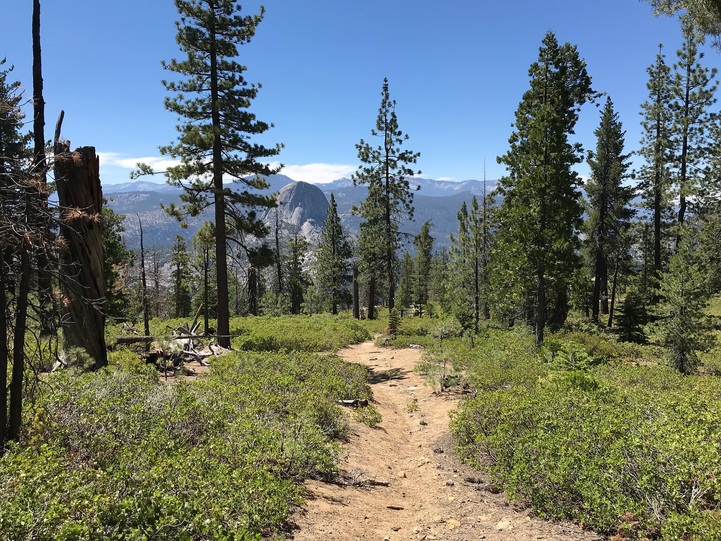 Cassidy Trail | Natural Atlas