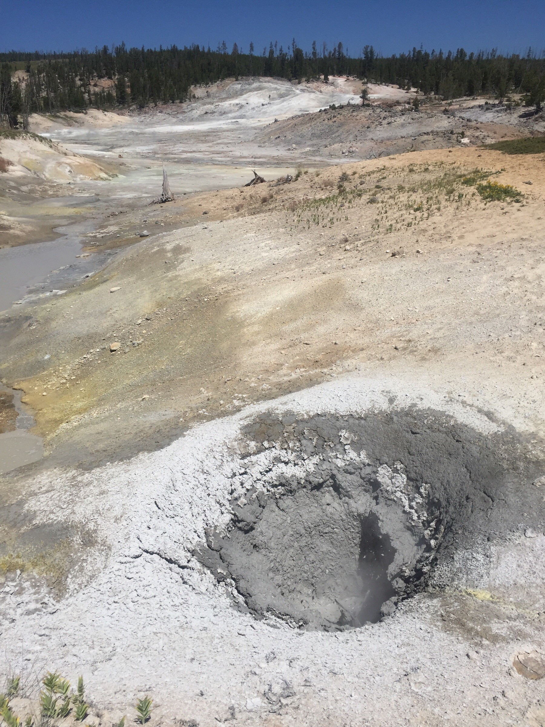 Mud Pots | Natural Atlas