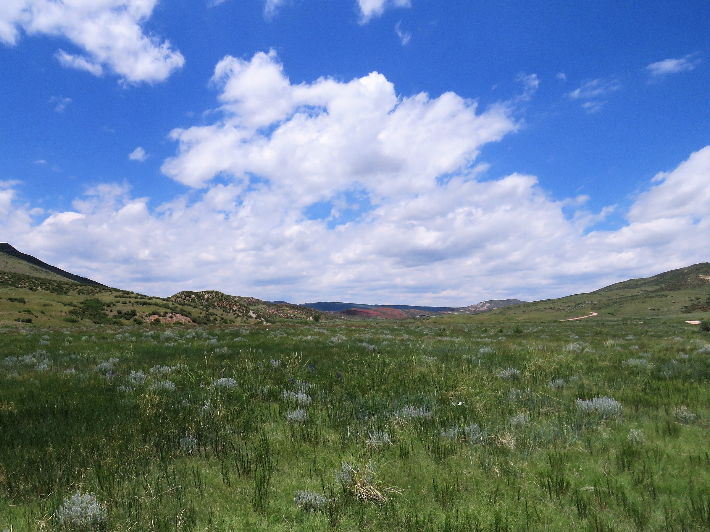 Red Mountain Open Space | Natural Atlas