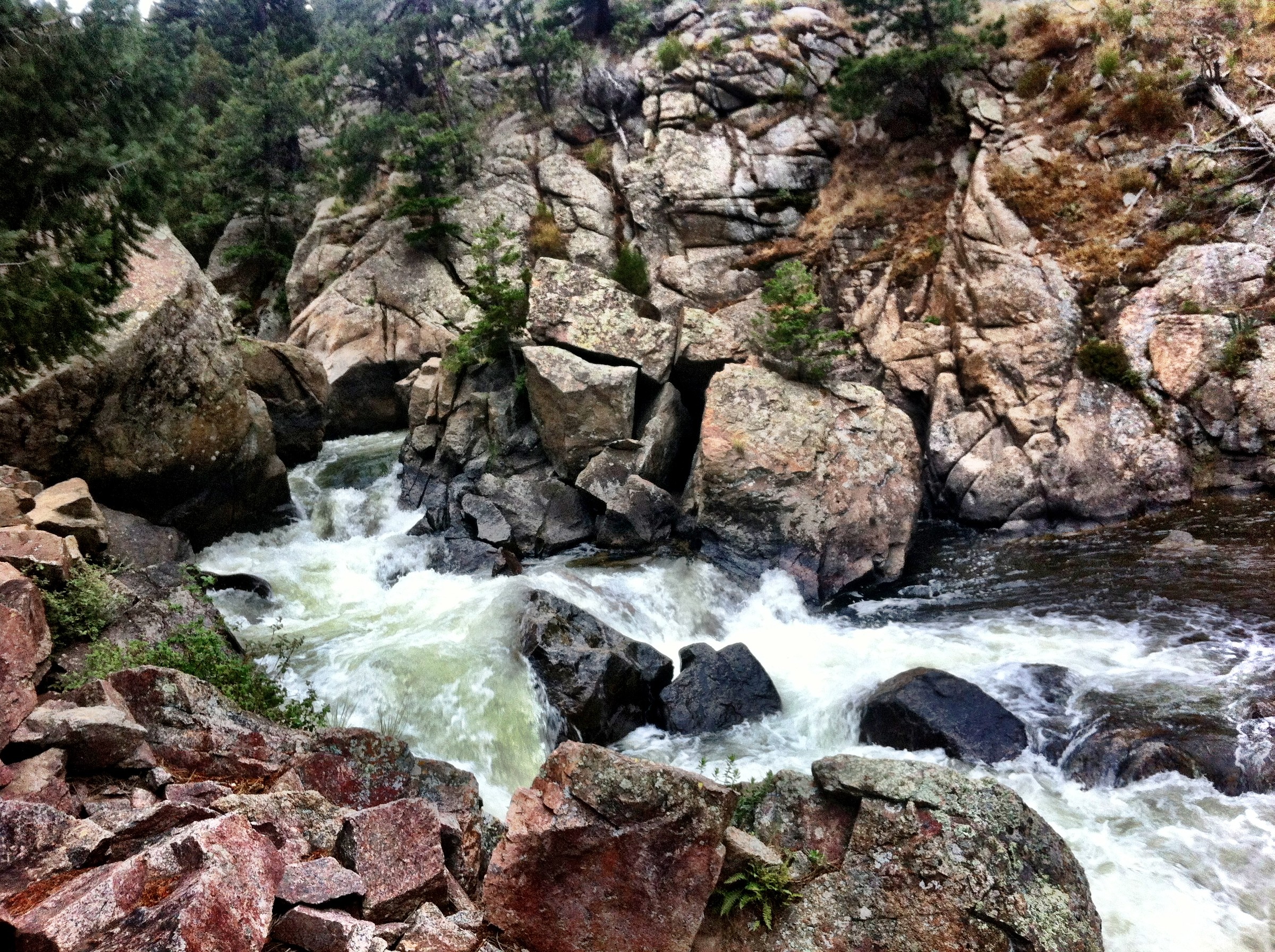 Crescent Meadows – Walker Ranch Loop · Featured Route | COTREX