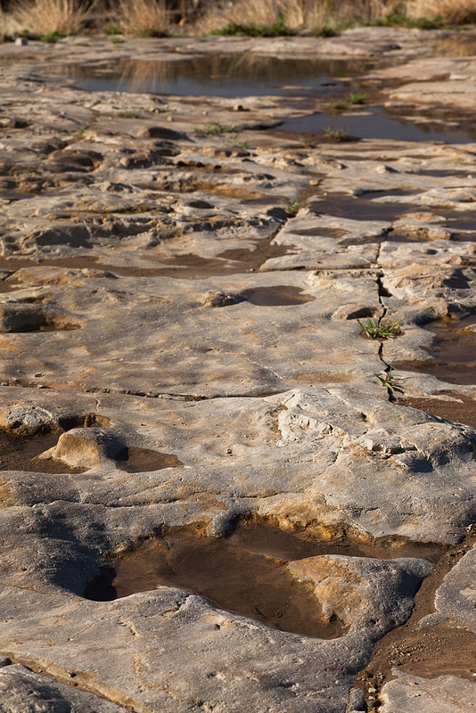 Picket Wire Canyon Dinosaur Tracksite · Featured Route | COTREX