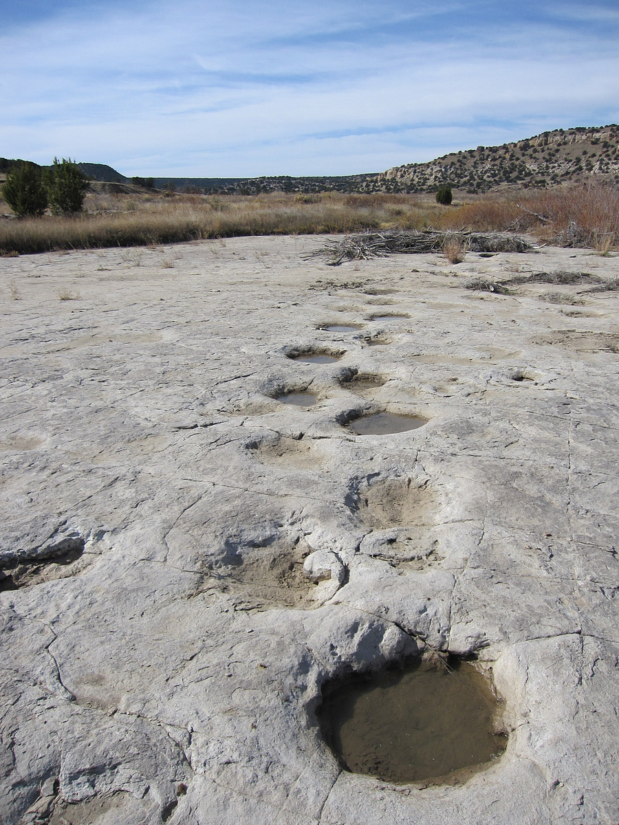 Picket Wire Canyon Dinosaur Tracksite · Featured Route | COTREX