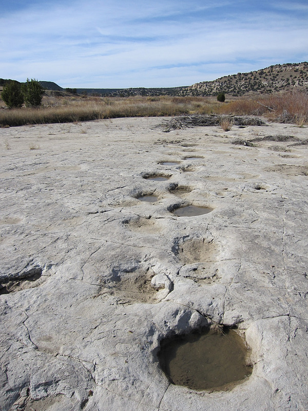 Picket Wire Canyon Dinosaur Tracksite · Featured Route | COTREX