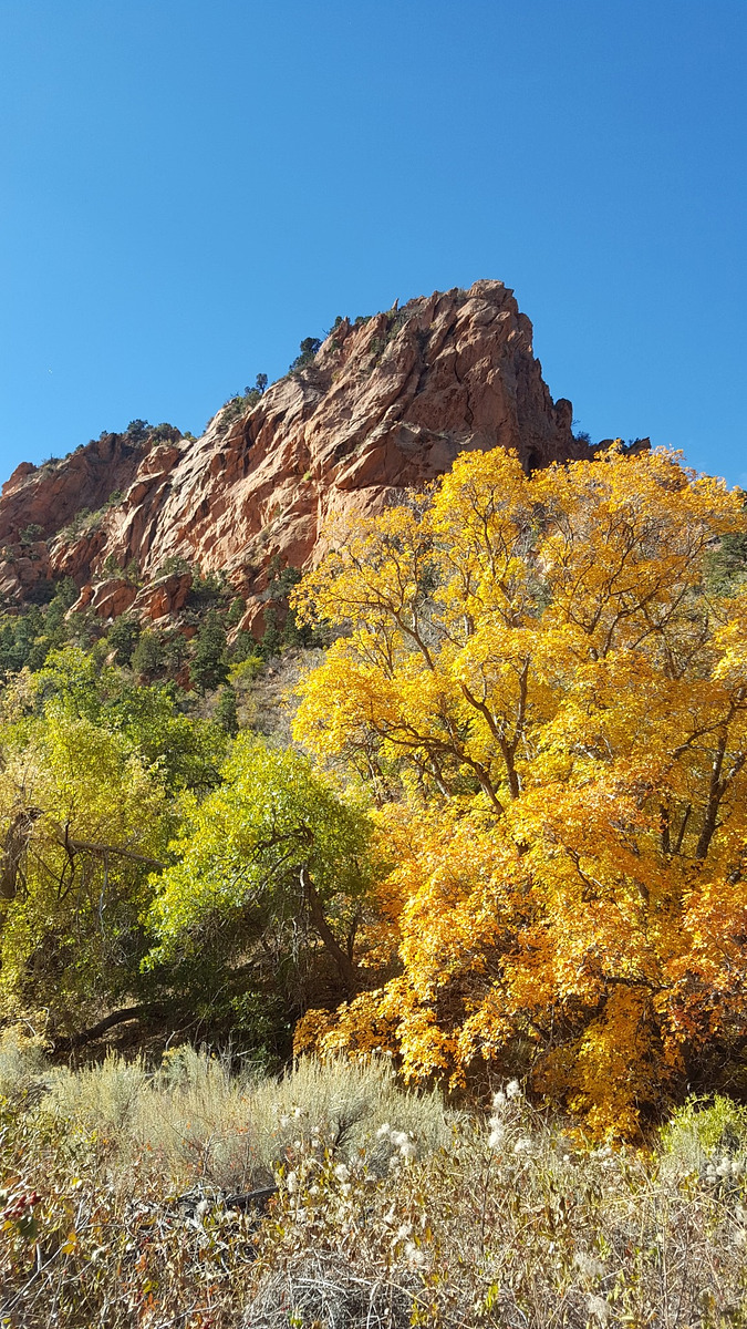 Spring Creek Canyon Hike | Natural Atlas