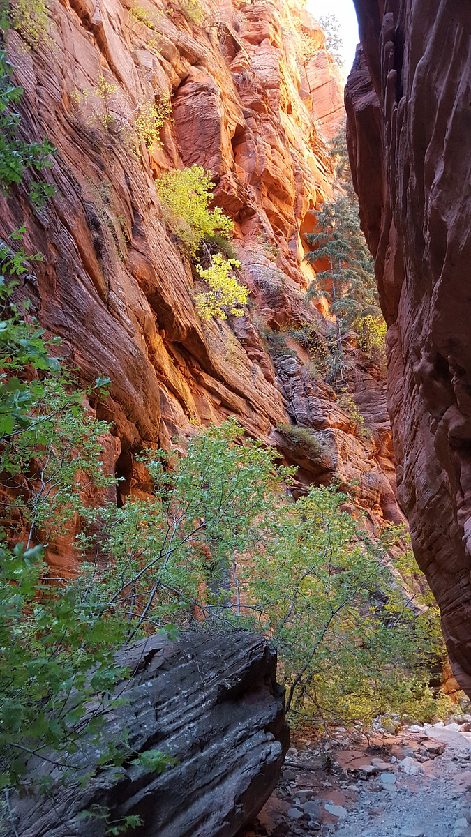 Spring Creek Canyon Hike | Natural Atlas