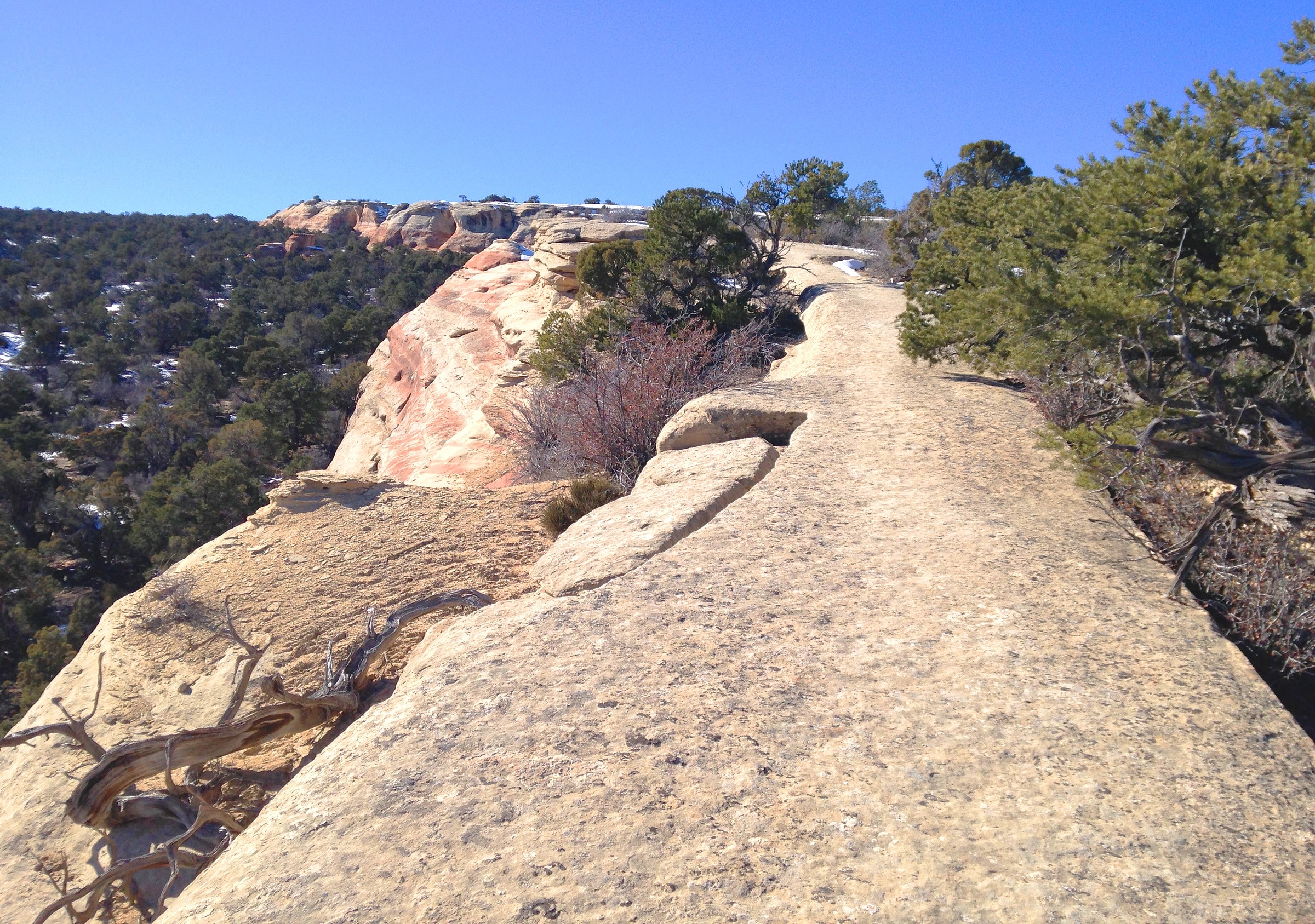 The Ribbon - Downhill Route · Featured Route | COTREX