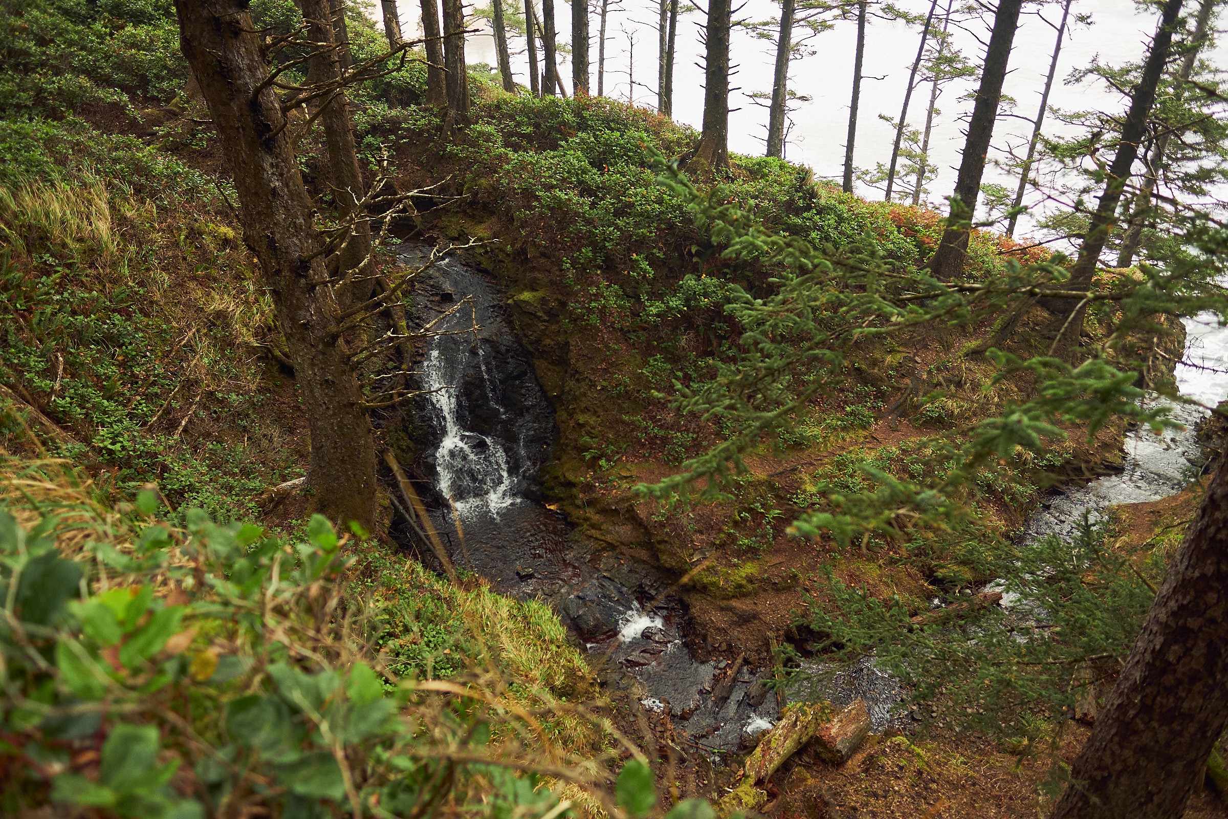 Blumenthal Falls | Natural Atlas