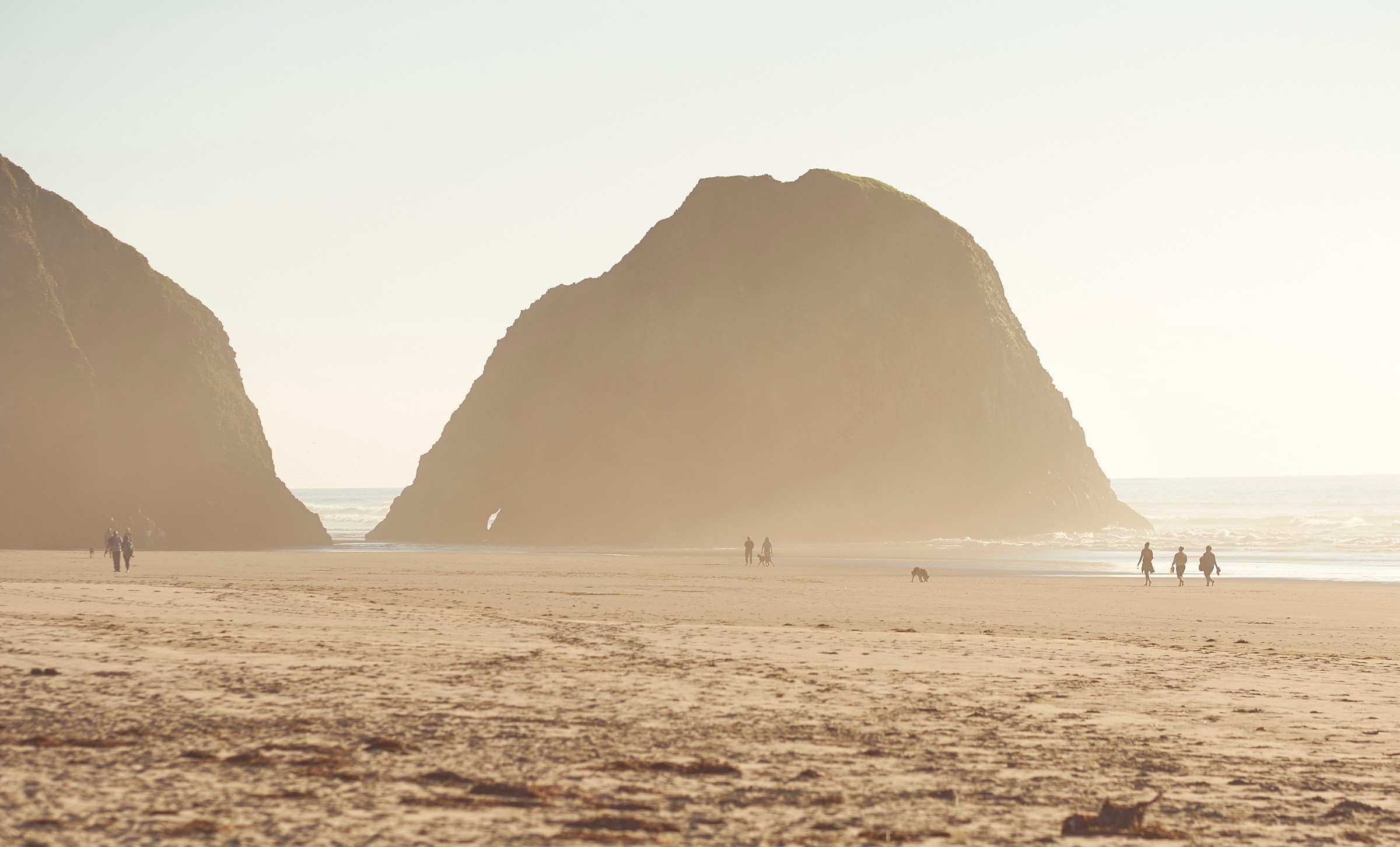 Crescent Beach | Natural Atlas