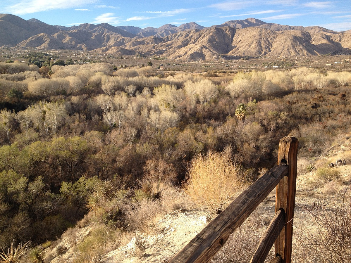 Big Morongo Canyon Preserve | Natural Atlas