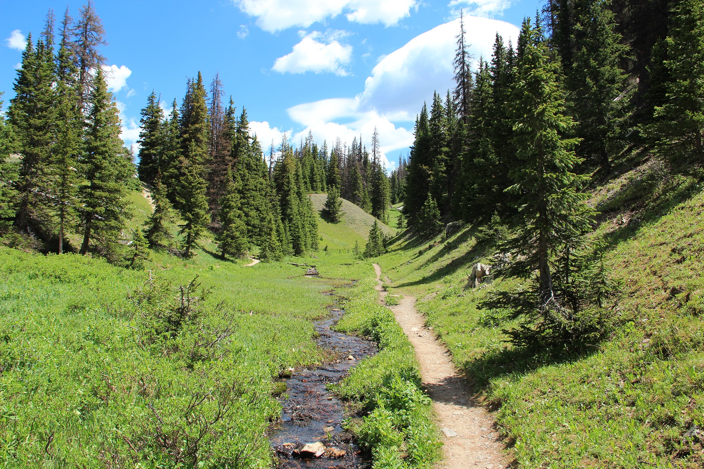 Ute Trail West | Natural Atlas