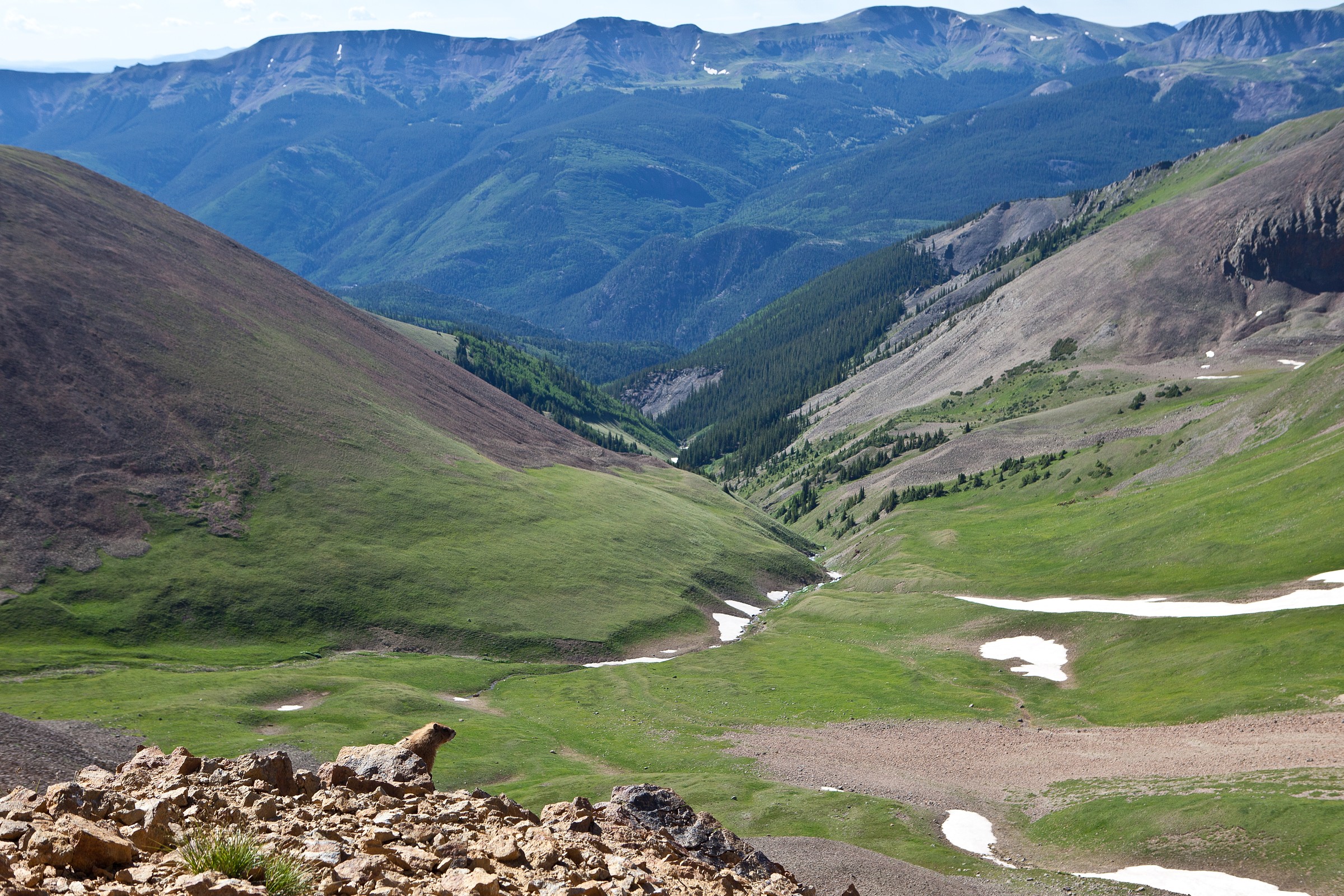 Red Cloud Peak Wilderness Study Area | Natural Atlas