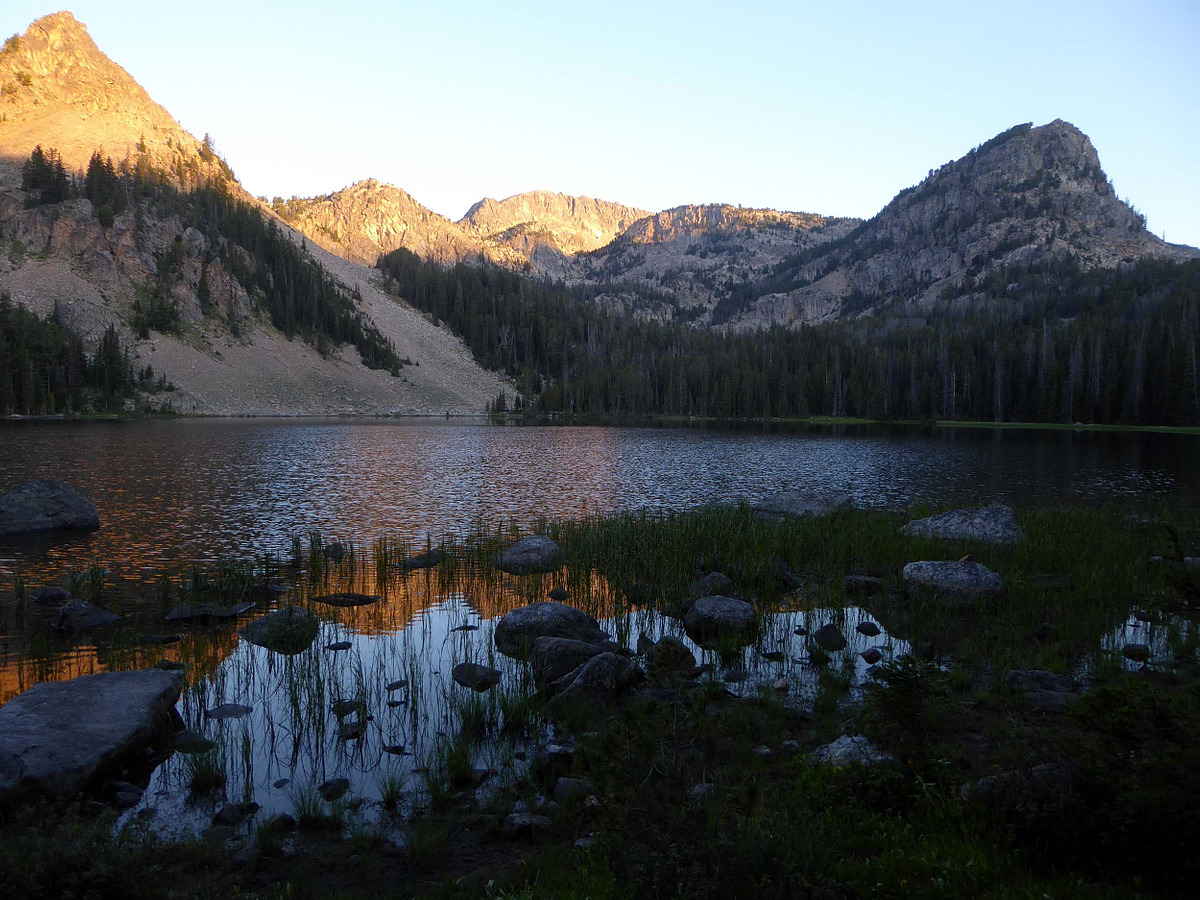 Custer National Forest Map – Natural Atlas