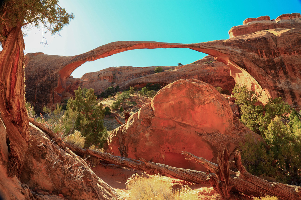 Landscape Arch | Natural Atlas