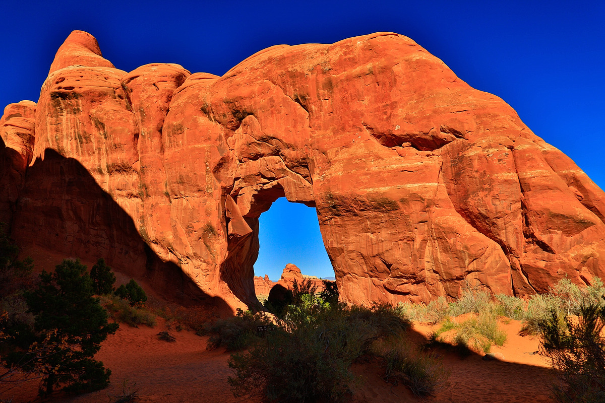 Pine Tree Arch | Natural Atlas