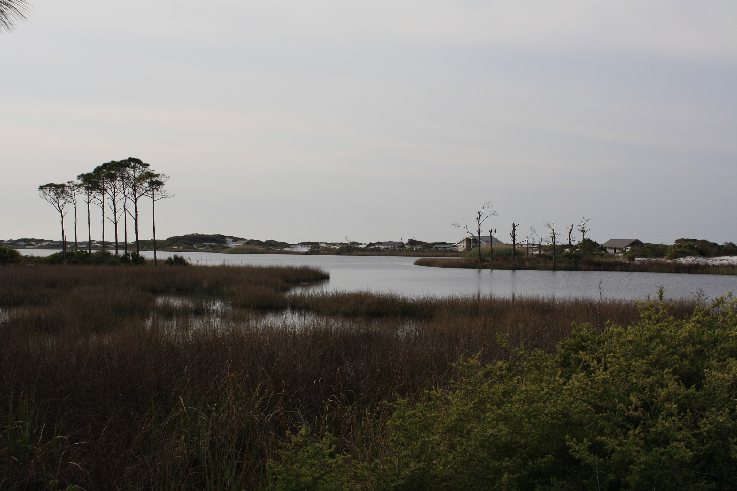 Grayton Beach State Park | Natural Atlas