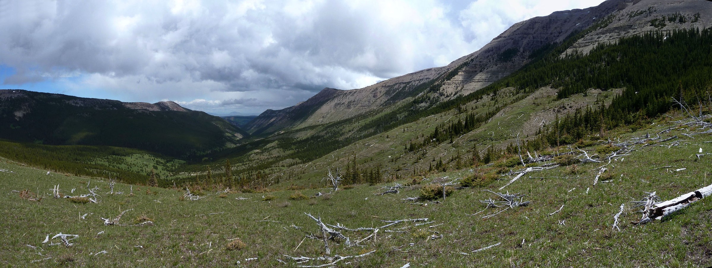 Half Moon Creek Map, MT – Natural Atlas