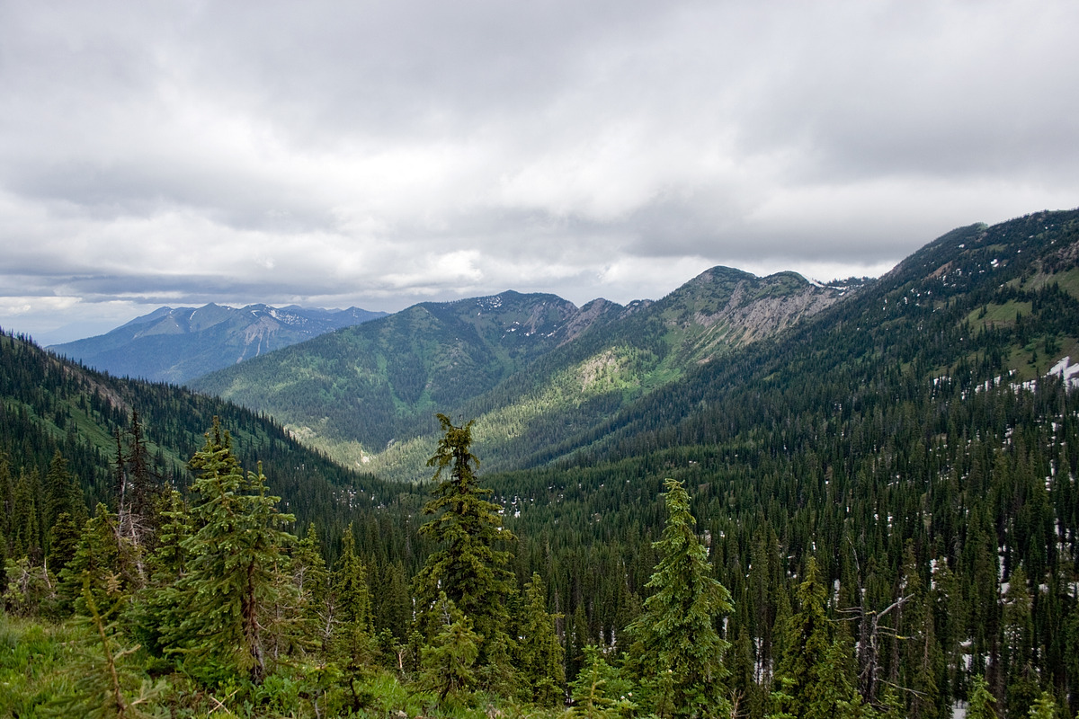 Flathead National Forest Map – Natural Atlas