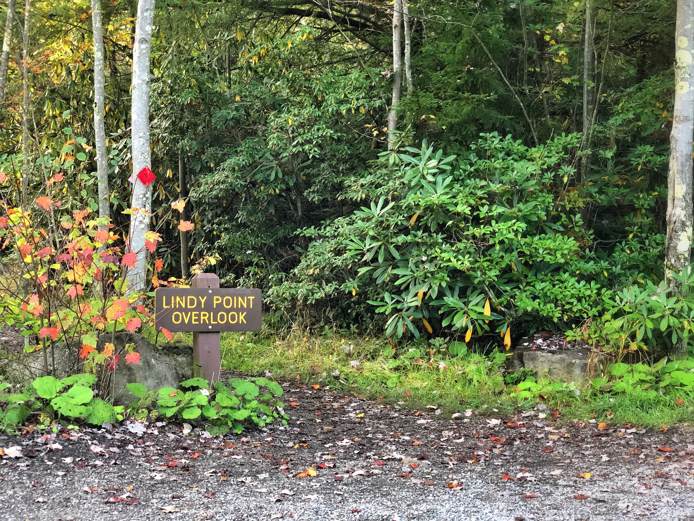 Lindy Point Overlook | Natural Atlas