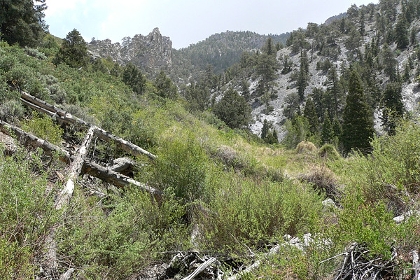 Carpenter Canyon | Natural Atlas