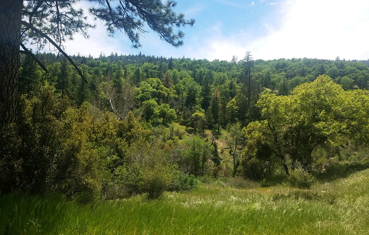 Serrano Beach | Natural Atlas