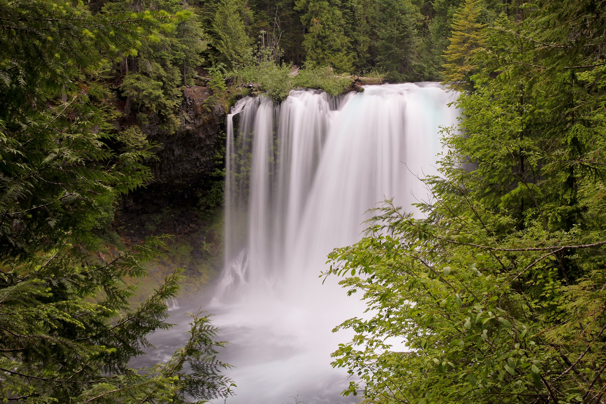 Koosah Falls | Natural Atlas