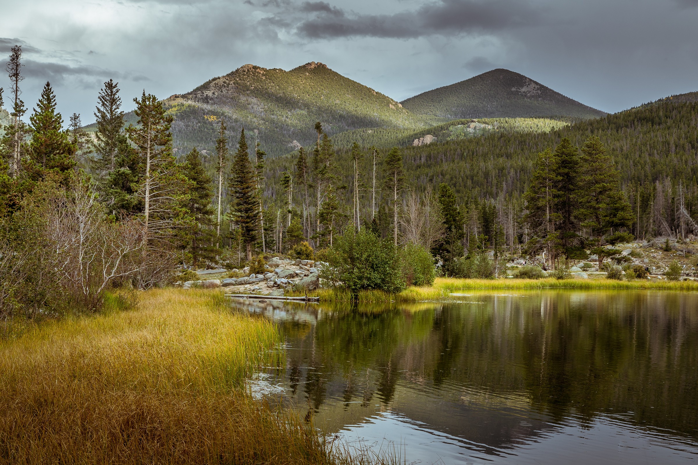 Sprague Lake Loop · Featured Route | COTREX