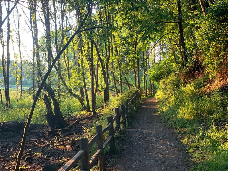 Oaks Bottom Wildlife Refuge Map – Portland, OR – Natural Atlas