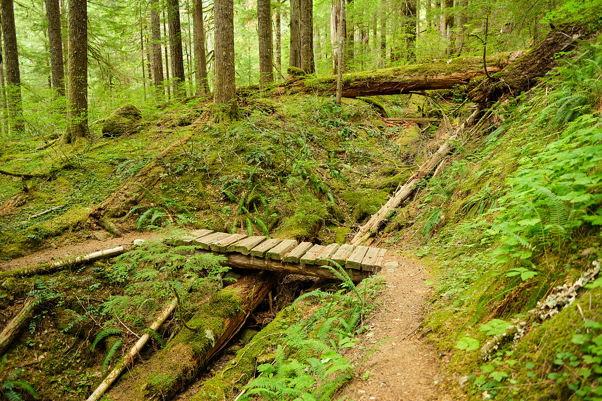 Wind River Map (Columbia River Gorge National Scenic Area) – Natural Atlas
