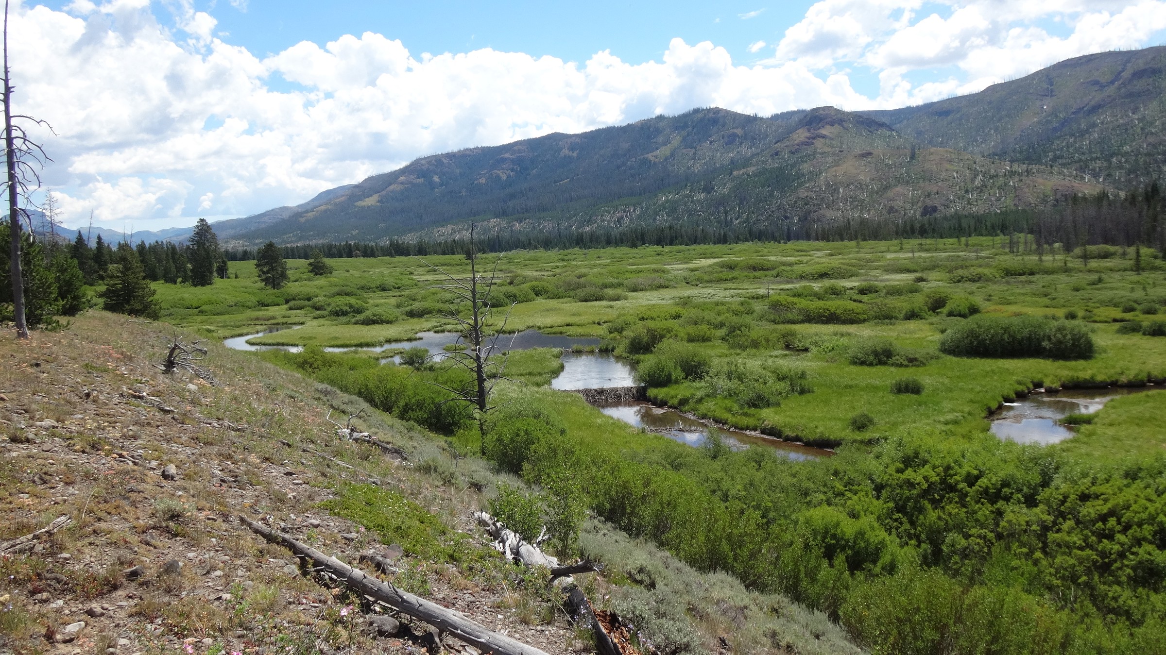 Thorofare River Trail | Natural Atlas