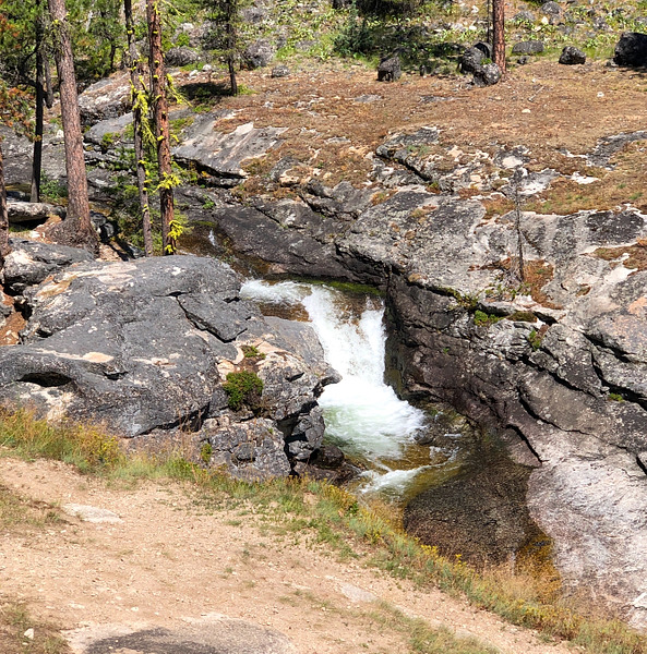 Bitterroot National Forest Map – Natural Atlas