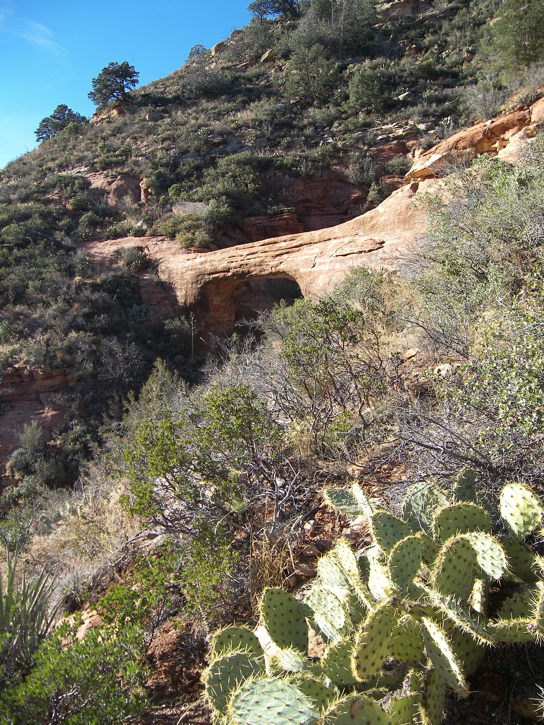 Vultee Arch Trail | Natural Atlas