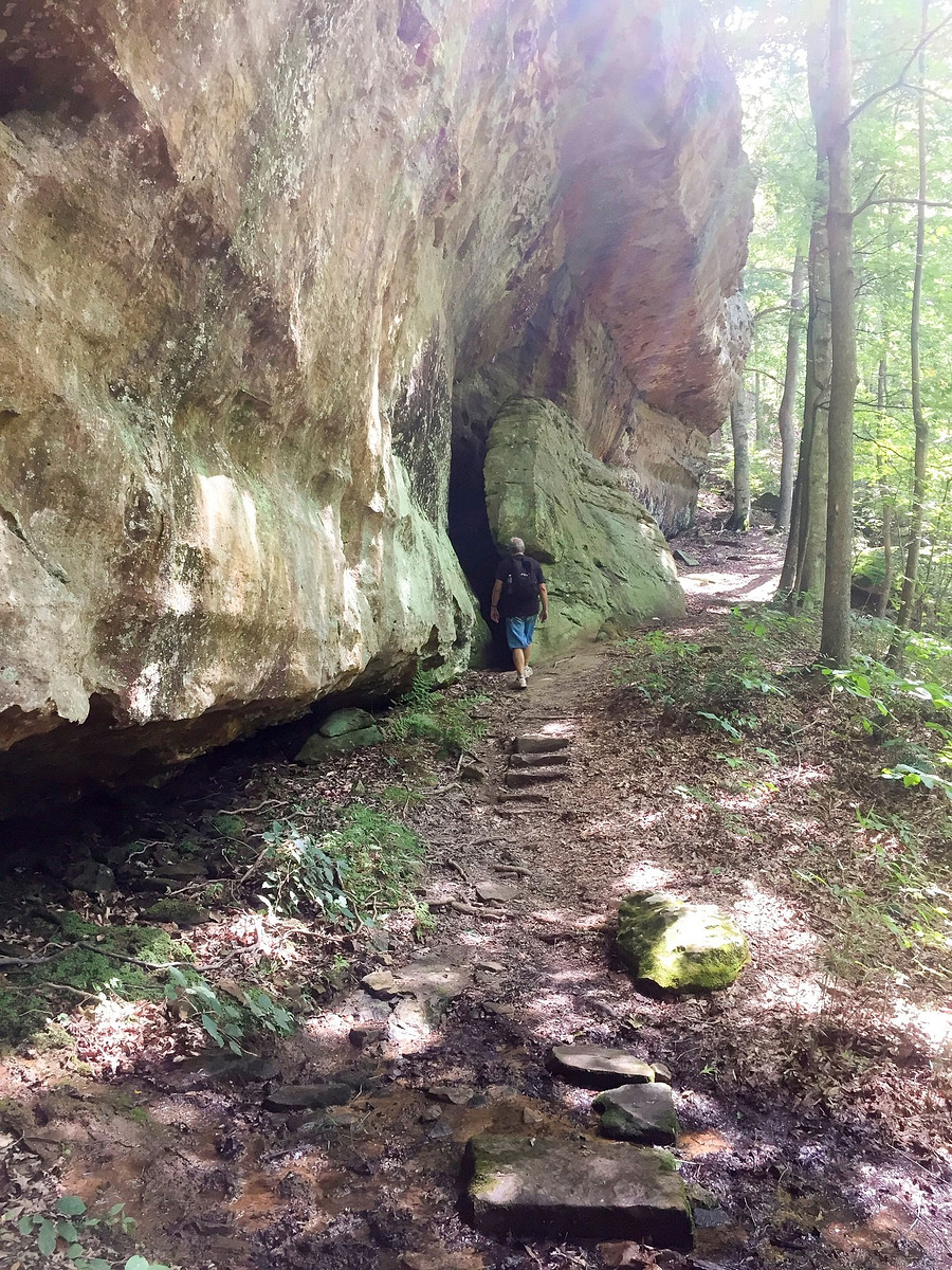Bell Smith Springs Trail | Natural Atlas