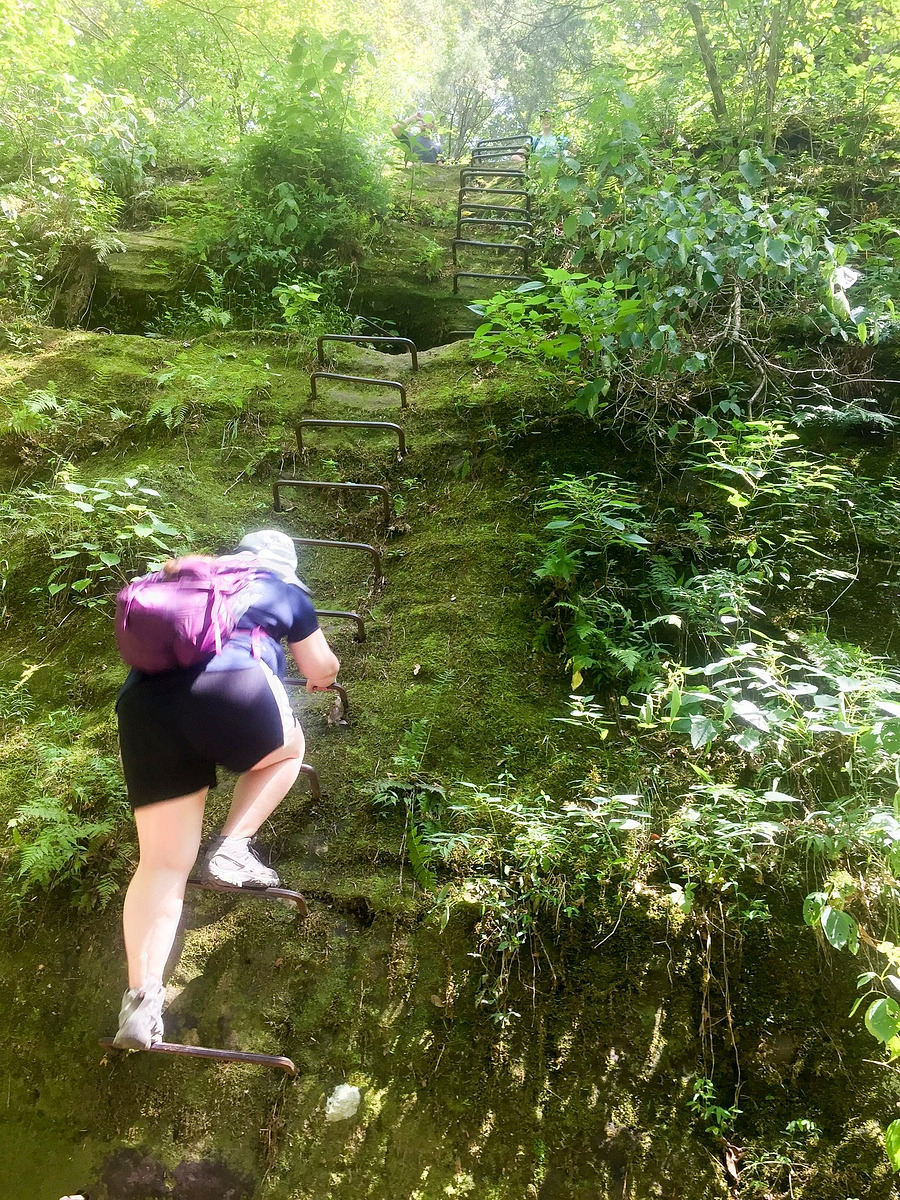 Bell Smith Springs Trail | Natural Atlas