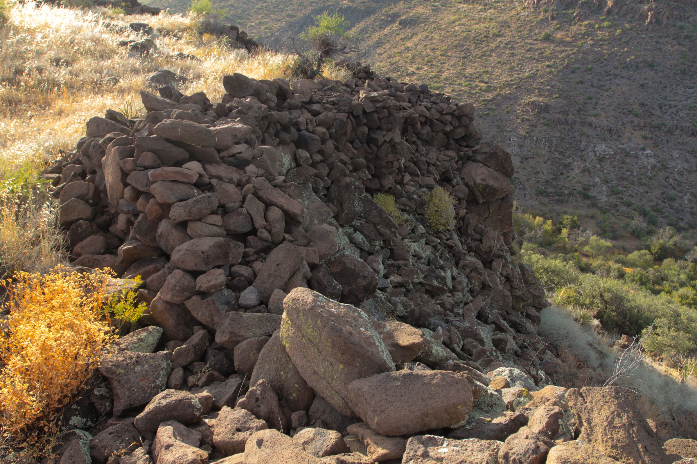 Fort Silver | Natural Atlas