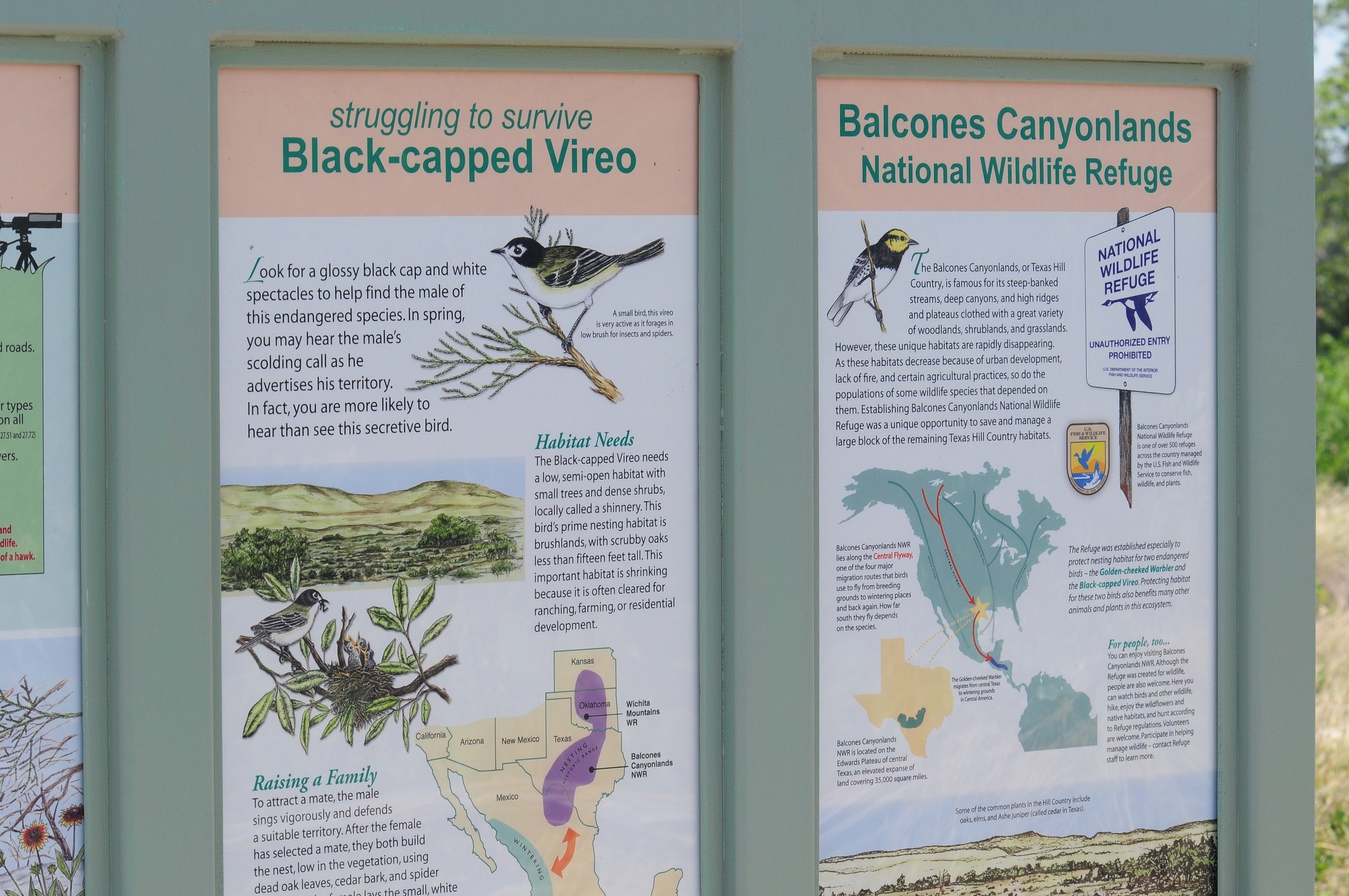 Shin Oak Bird Observation Deck Trailhead | Natural Atlas