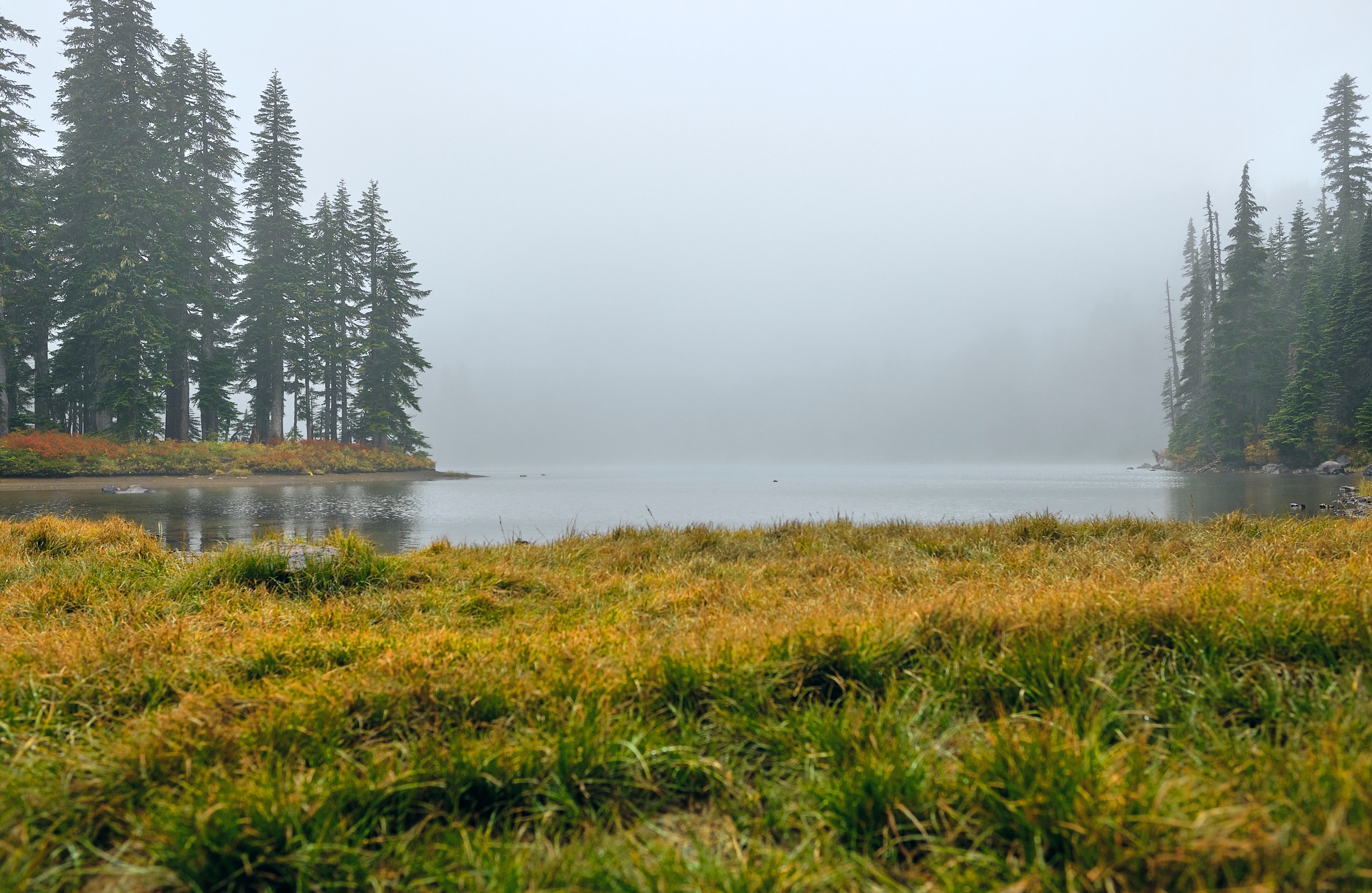 Indian Heaven Wilderness Map, WA – Natural Atlas