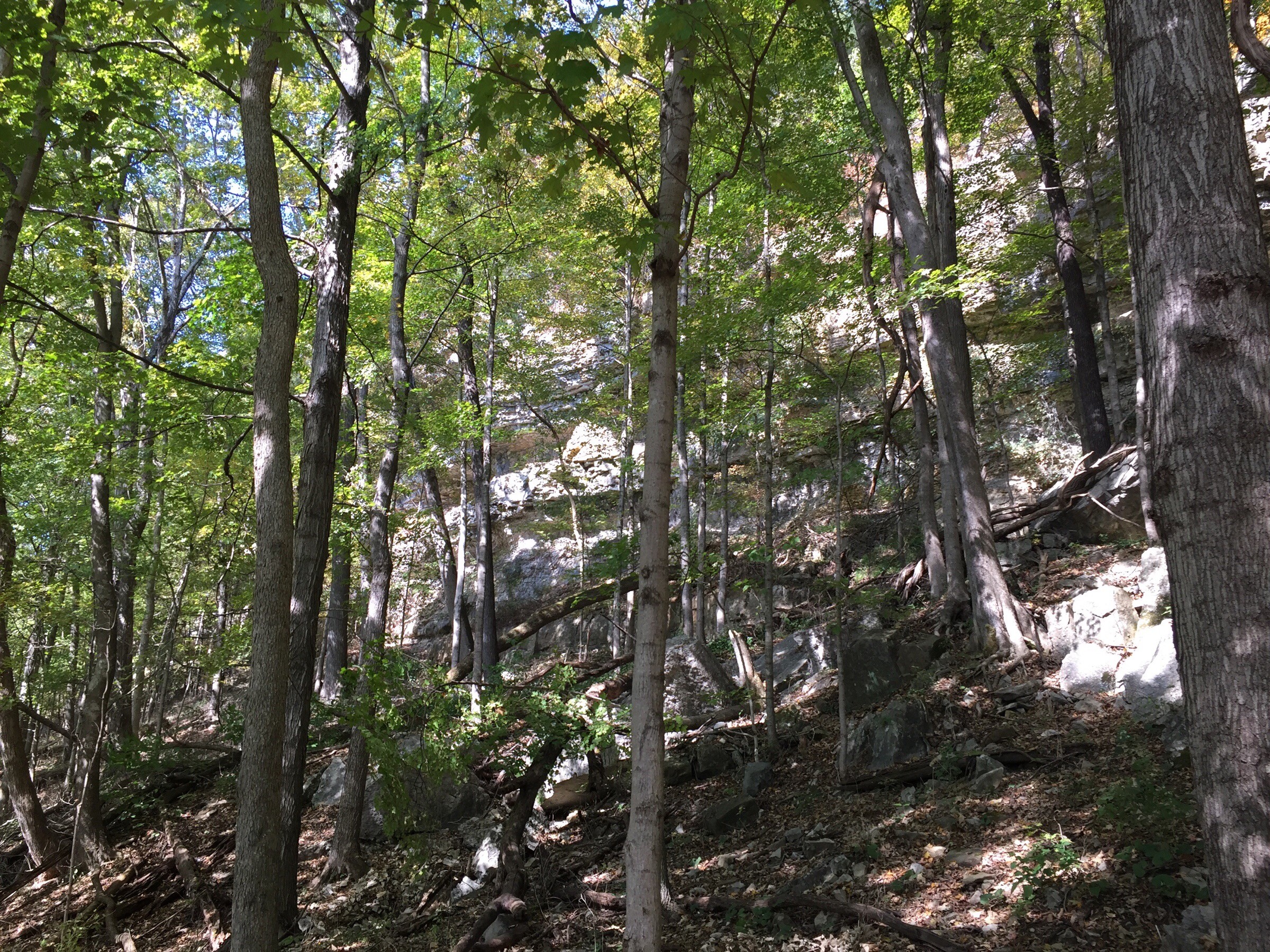Bluffs | Natural Atlas