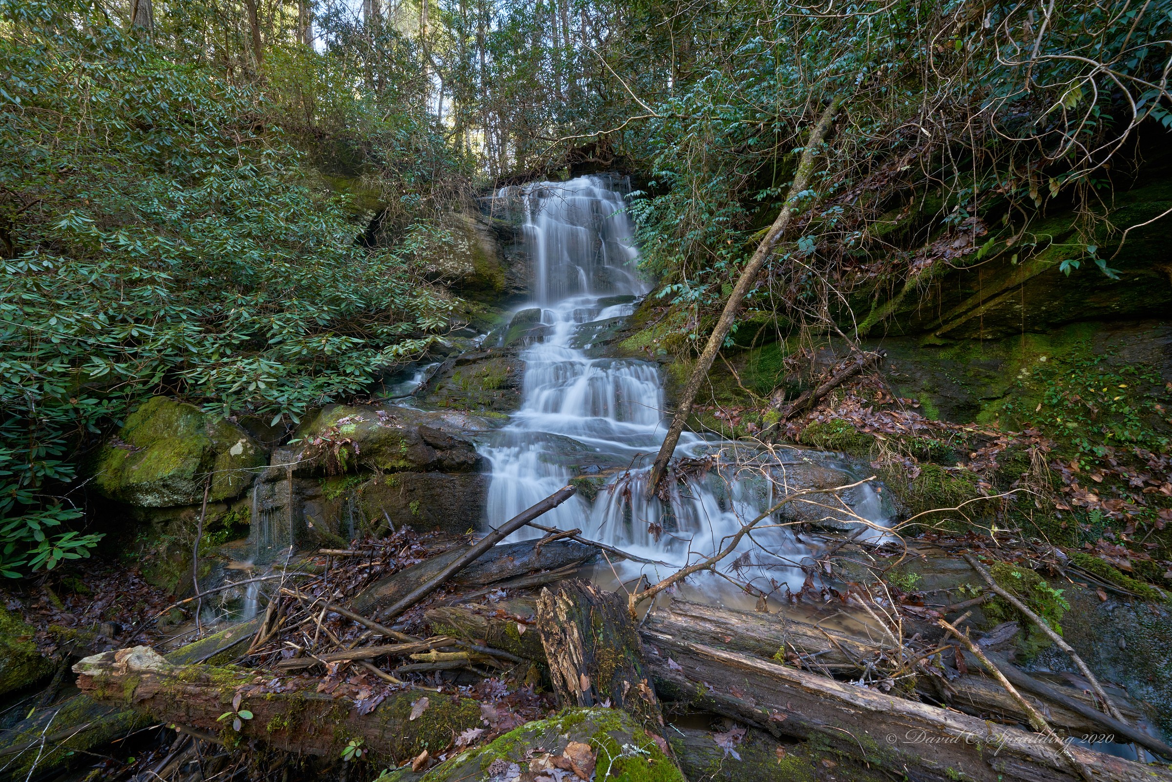 Sumter National Forest Trail Map