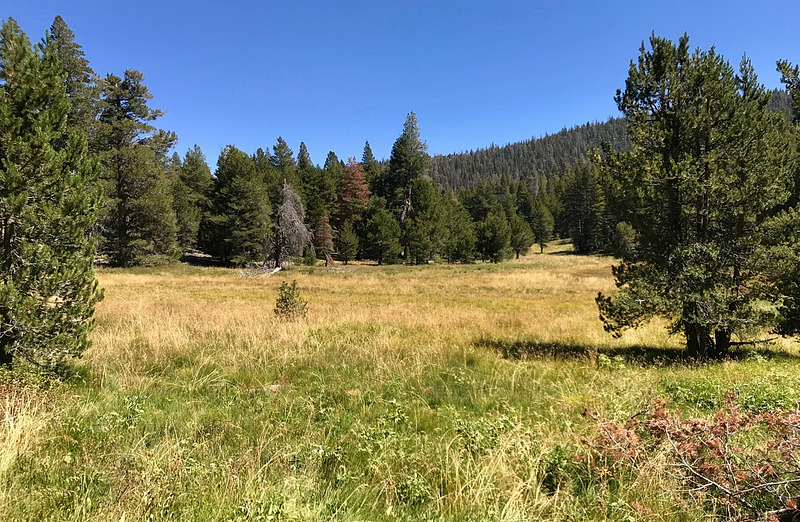 Golden Trout Wilderness Map, CA – Natural Atlas