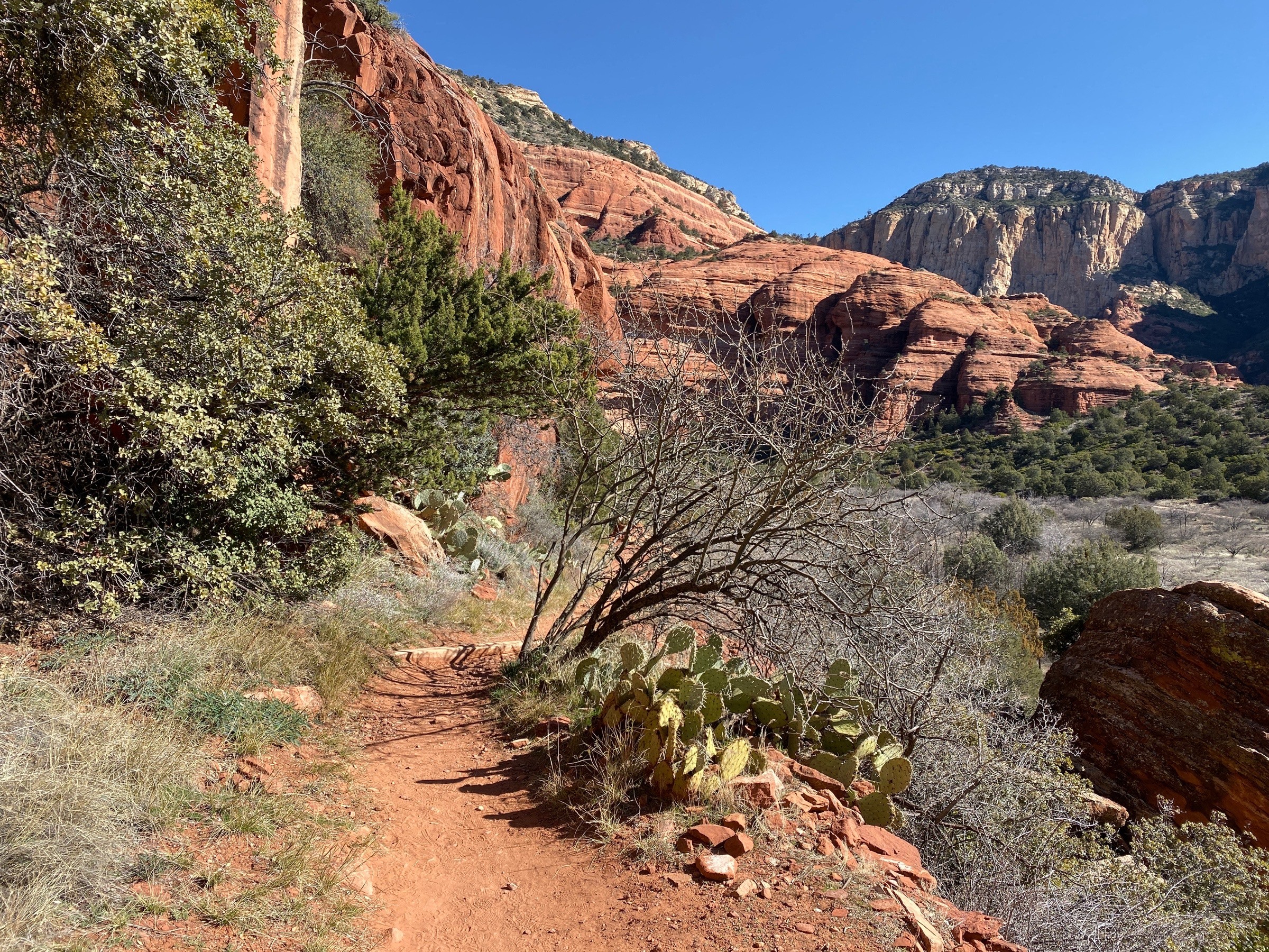 Red Cliff Trail | Natural Atlas