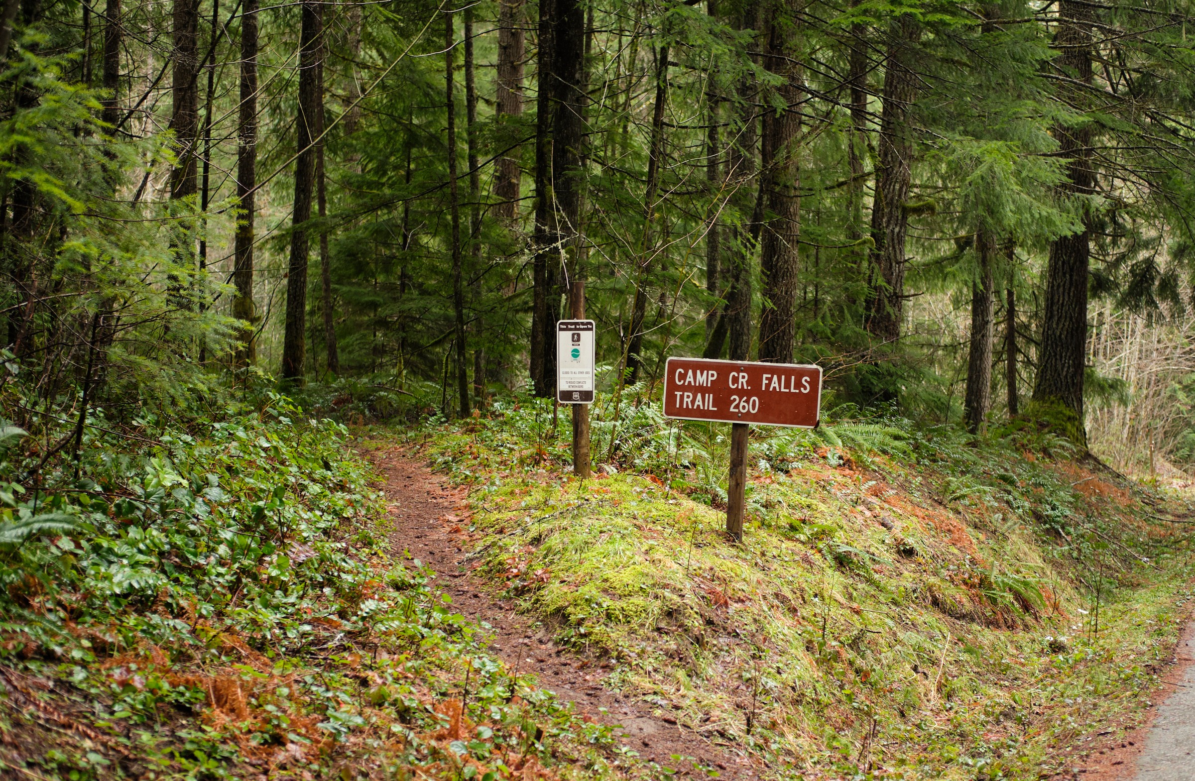 Cispus River Map, WA – Natural Atlas