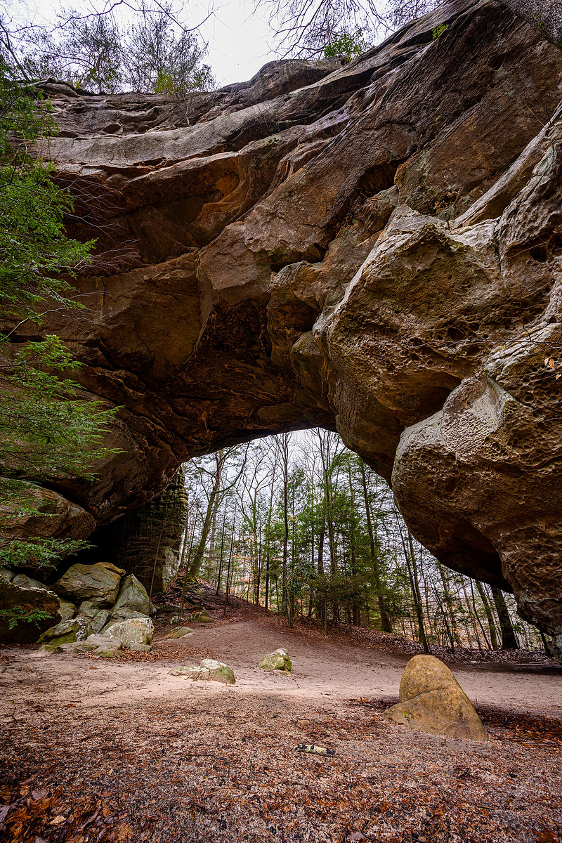 Twin Arches | Natural Atlas