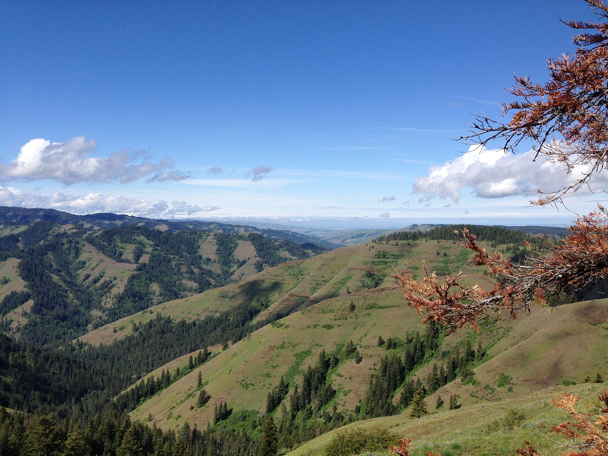 Umatilla National Forest Map – Natural Atlas