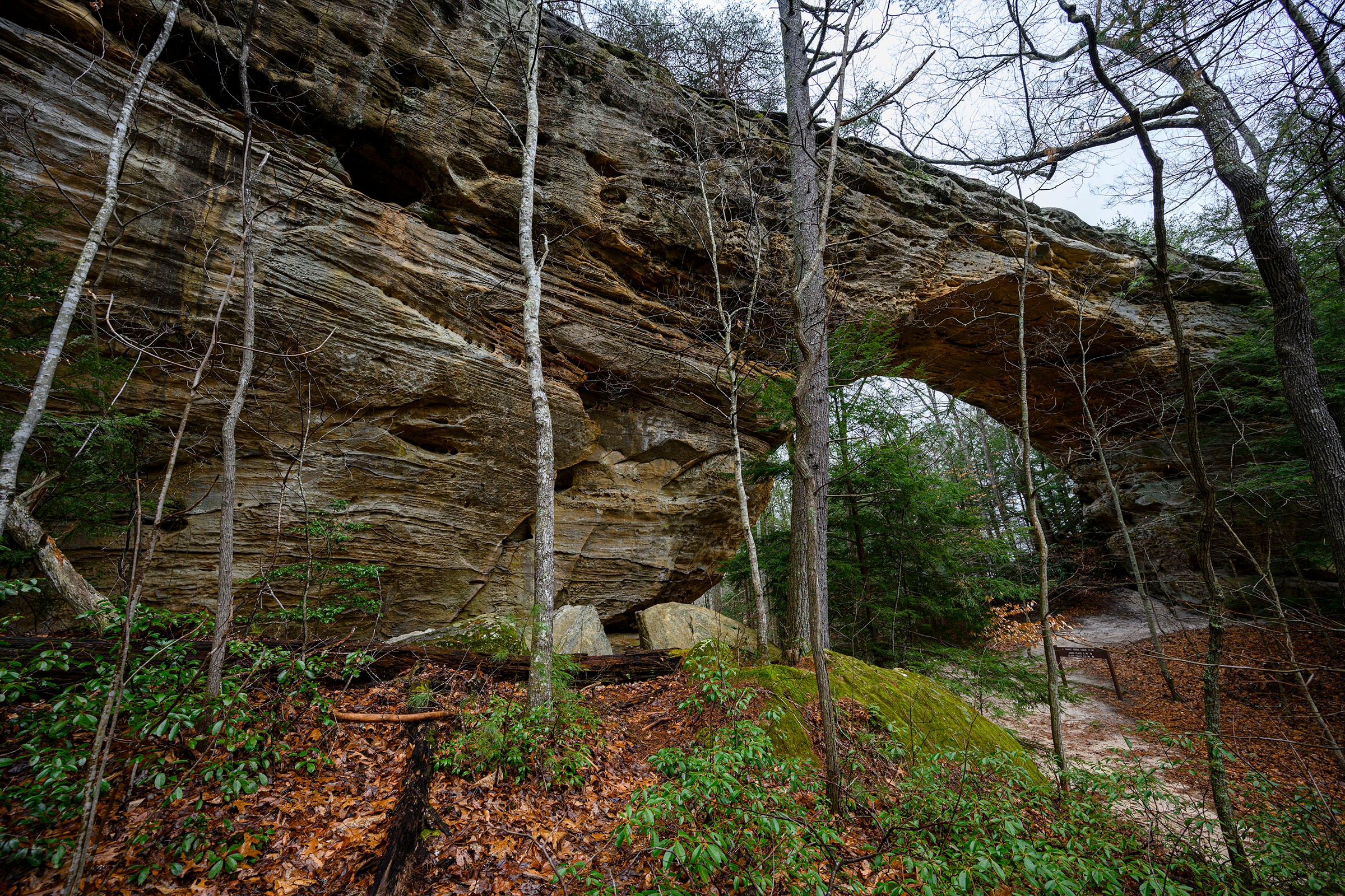 Twin Arches | Natural Atlas