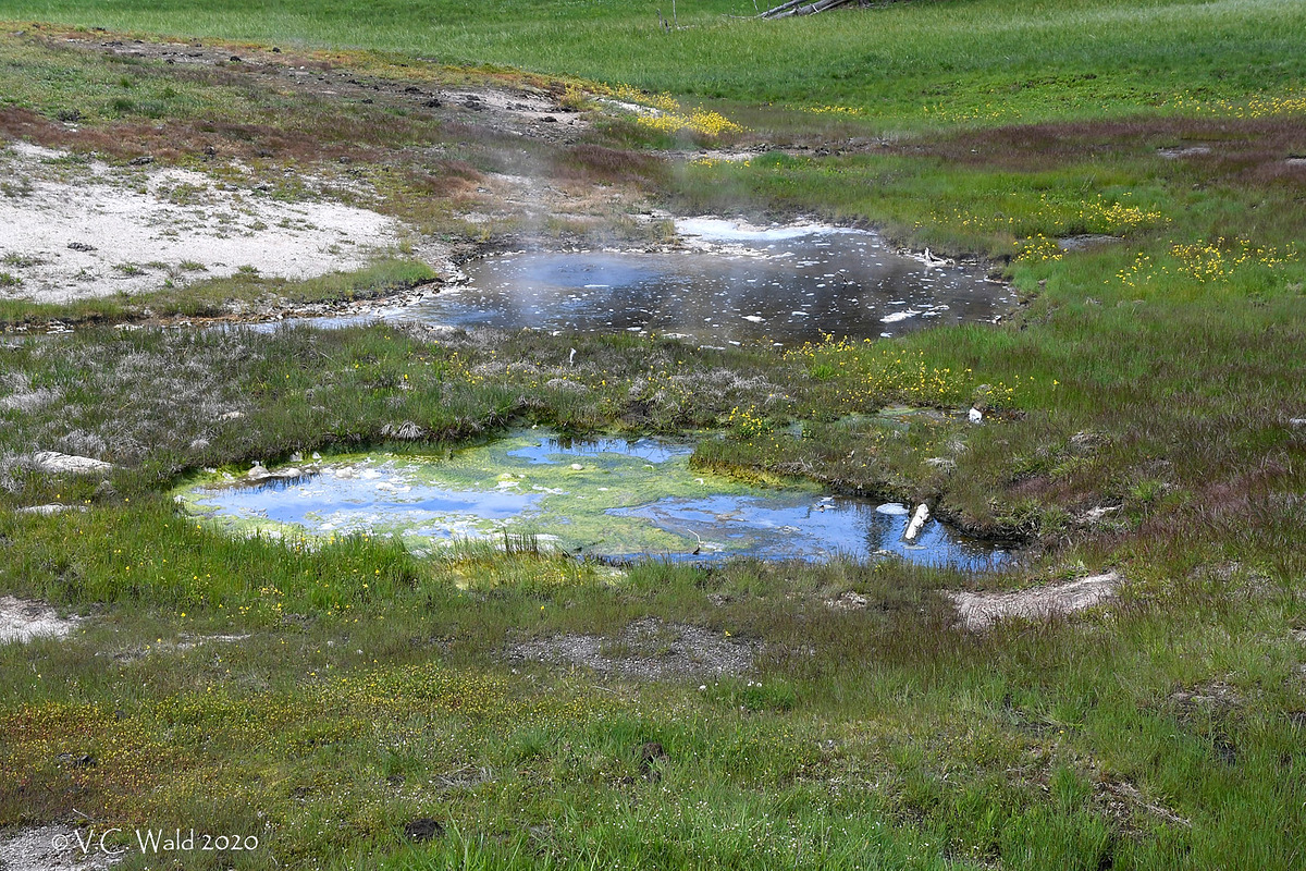 Clearwater Springs | Natural Atlas