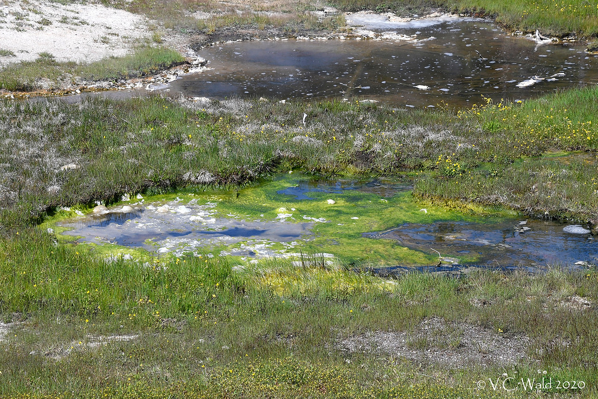 Clearwater Springs | Natural Atlas