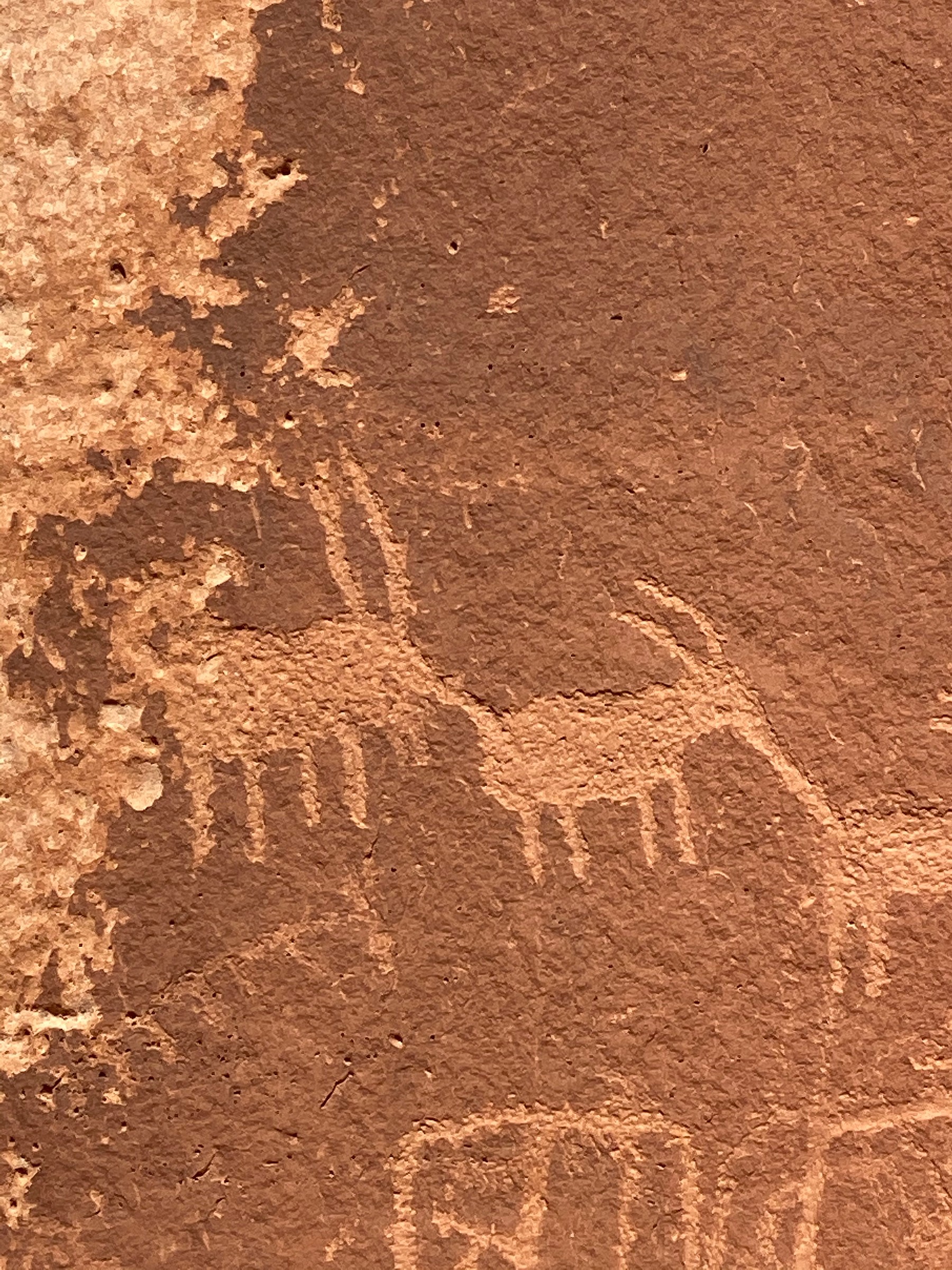 Maze Petroglyph | Natural Atlas