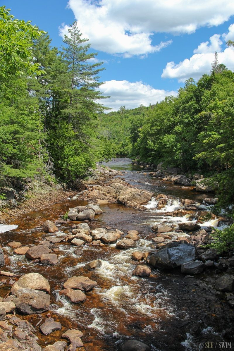 East Branch Sacandaga River Map, NY – Natural Atlas